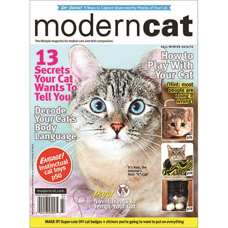 Modern cat Magazine Subscription