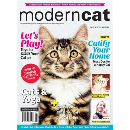 Modern cat Magazine Subscription